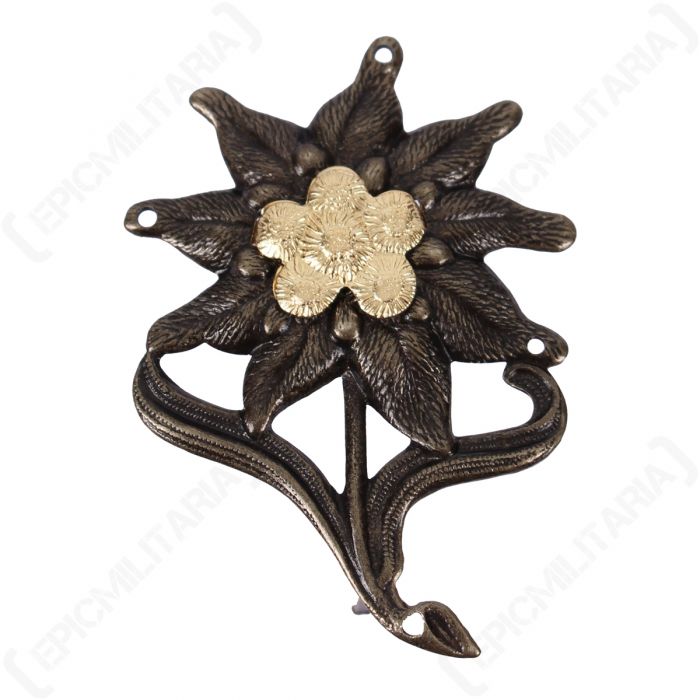 Edelweiss Flower Ww2 | Best Flower Site