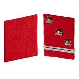 WW2 German SA Obersturmführer Collar Tabs - Epic Militaria - Epic Militaria