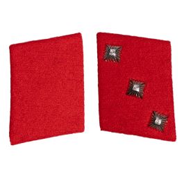 WW2 German SA Sturmführer Collar Tabs - Epic Militaria - Epic Militaria