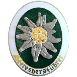 German Heeresbergfuhrer Breast Badge - Epic Militaria